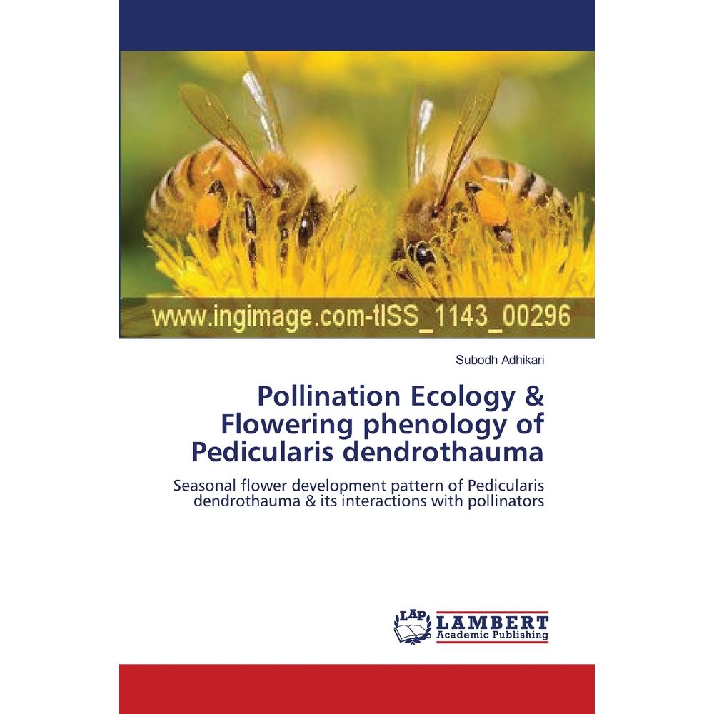 Pollination Ecology & Flowering phenology of Pedicularis dendrothauma ...